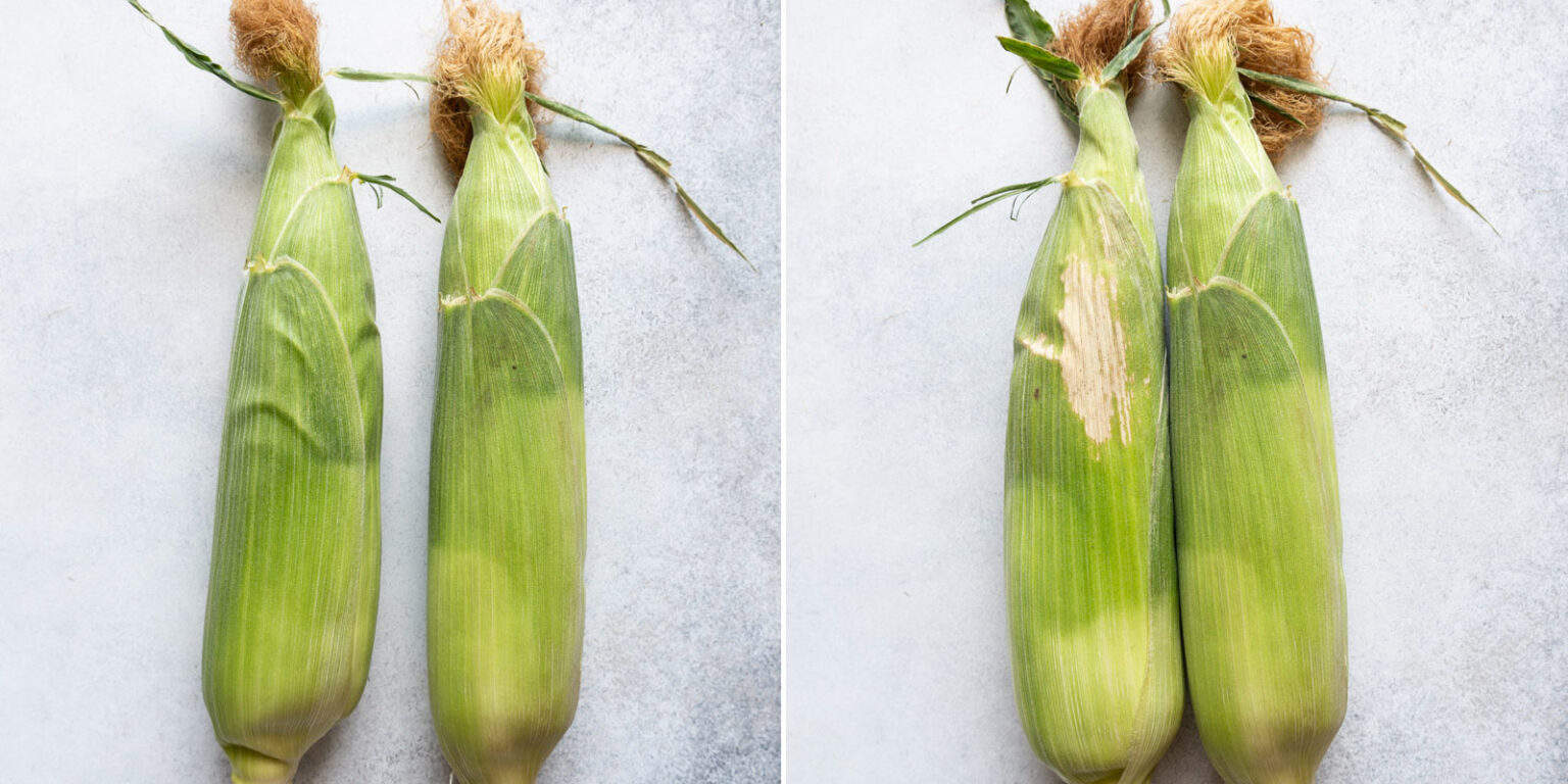How to Pick Corn | Healthy Nibbles by Lisa Lin