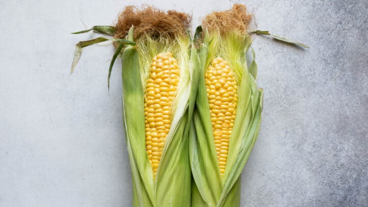 How to Pick Corn | Healthy Nibbles by Lisa Lin