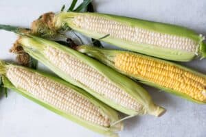 Savory Corn Mochi with Scallions (Gluten Free!) | Lisa Lin